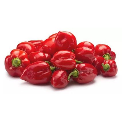 Sementes de Pimenta BOYRA (Habanero Vermelha)