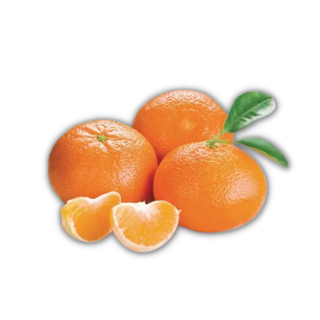 Kit com 8 Mudas Cítricas Raras e Enxertadas da Mondini Plantas