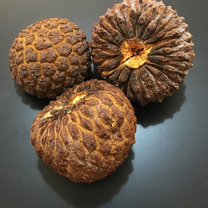 Muda de Marolo