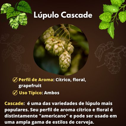 Muda de Lúpulo Cascade