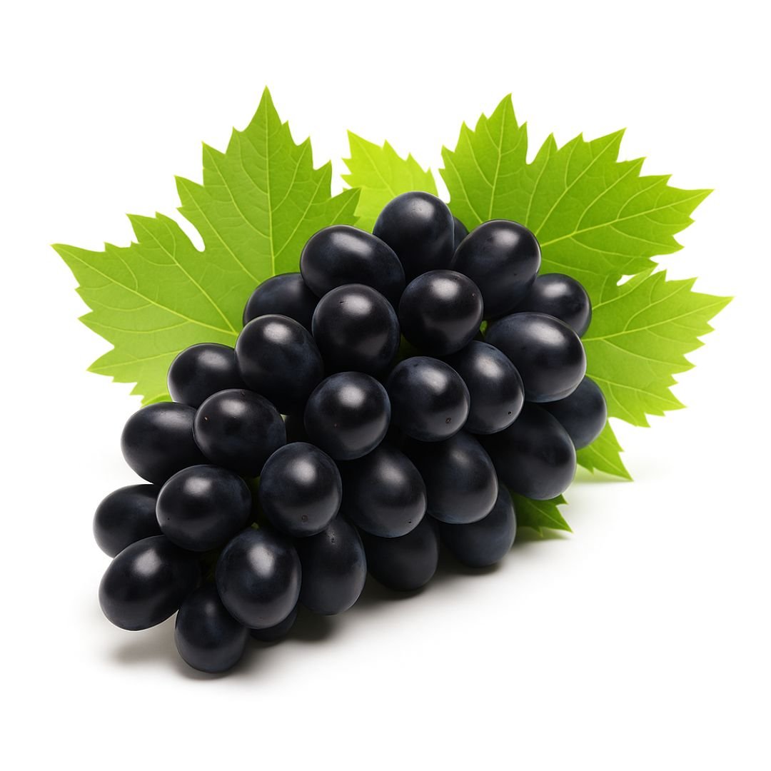 Muda de Uva Preta – Alta Produção e Frutos de Qualidade